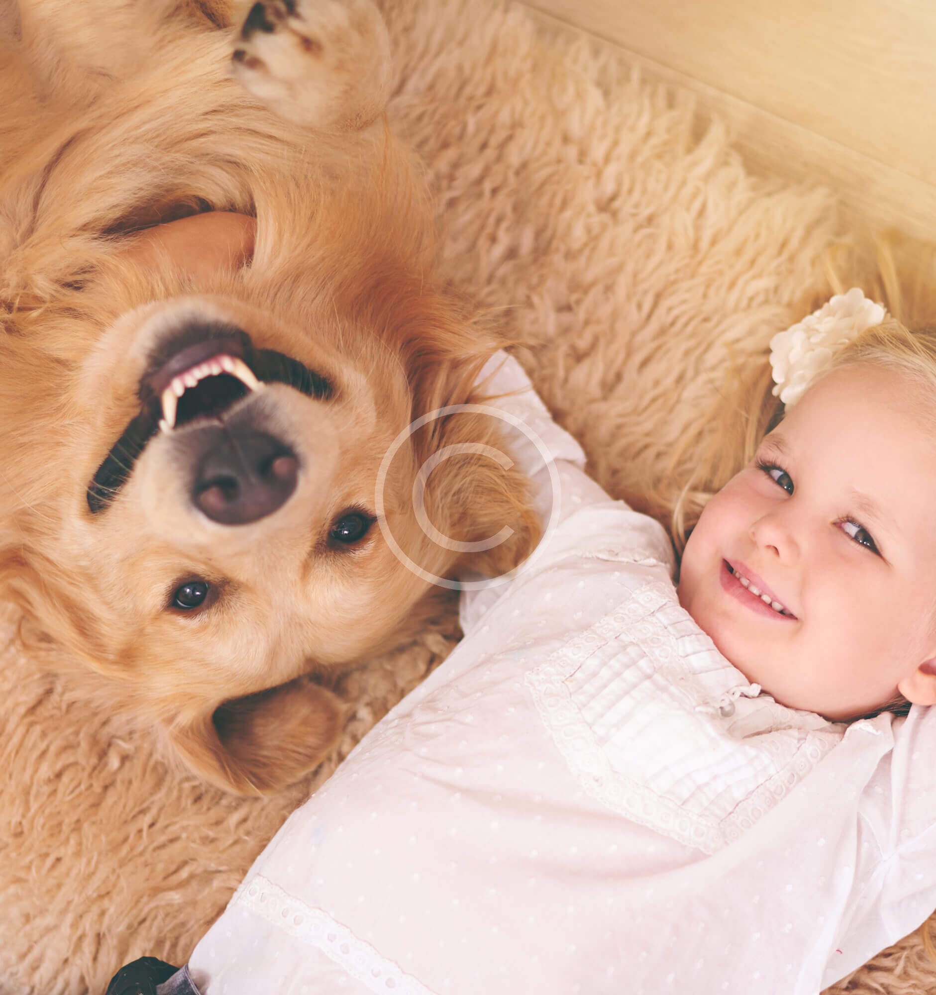 High Quality | Andek